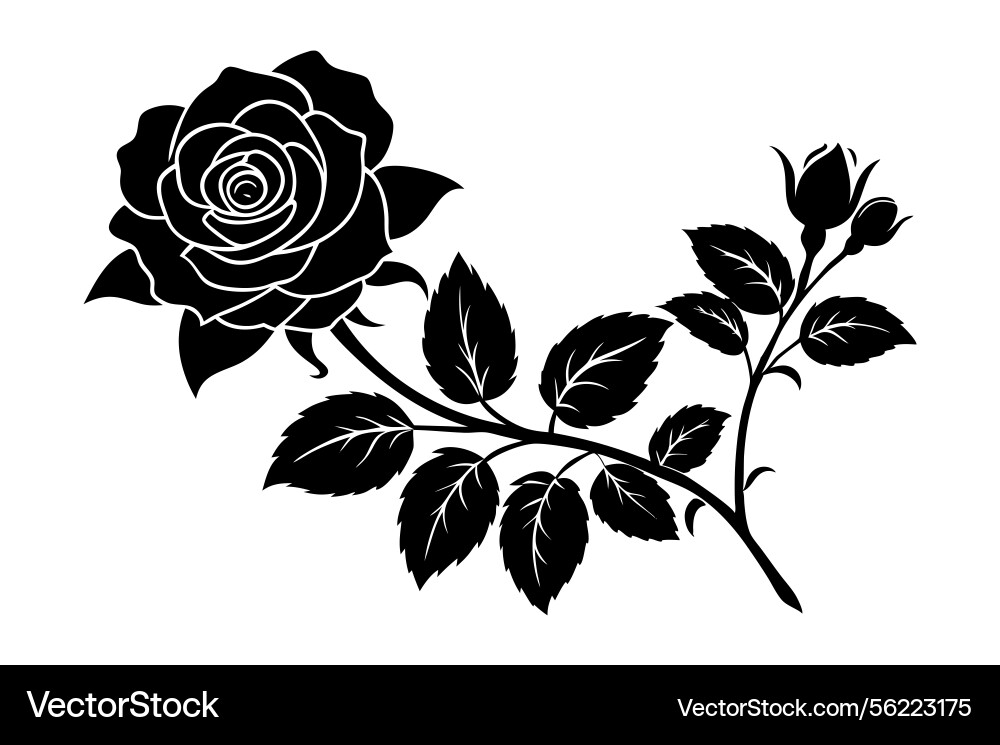 Vintage rose branch Royalty Free Vector Image - VectorStock