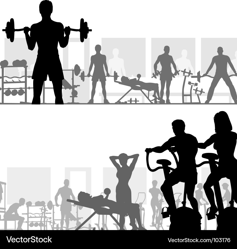 Gymnasium Royalty Free Vector Image - VectorStock