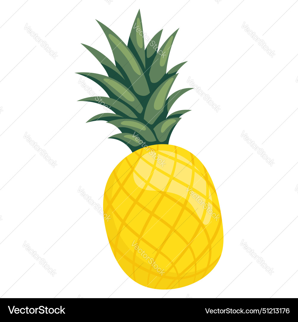 Pineapple simple ripe juicy fruit bright cartoon Vector Image