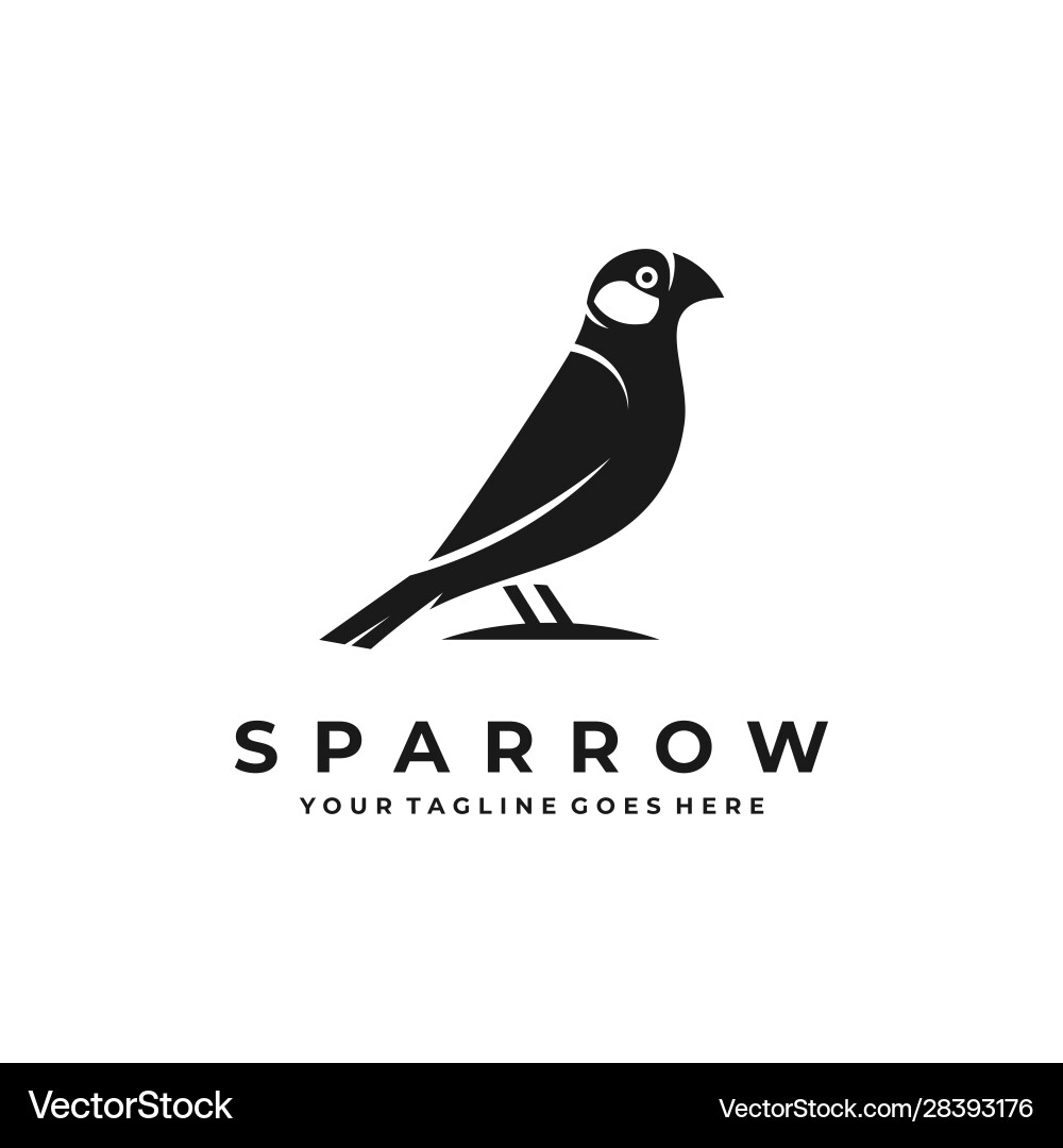 Sparrow bird template Royalty Free Vector Image