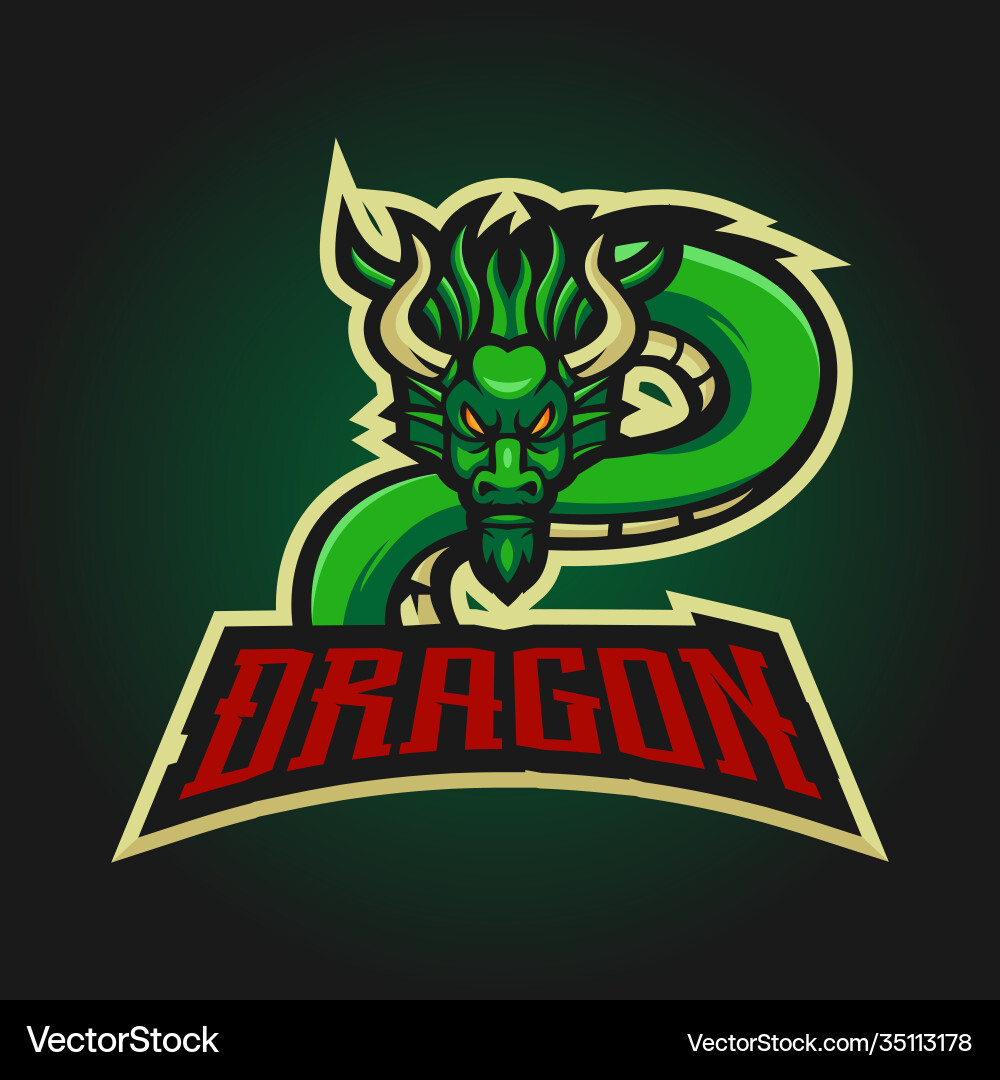 Dragon sport logo Royalty Free Vector Image - VectorStock