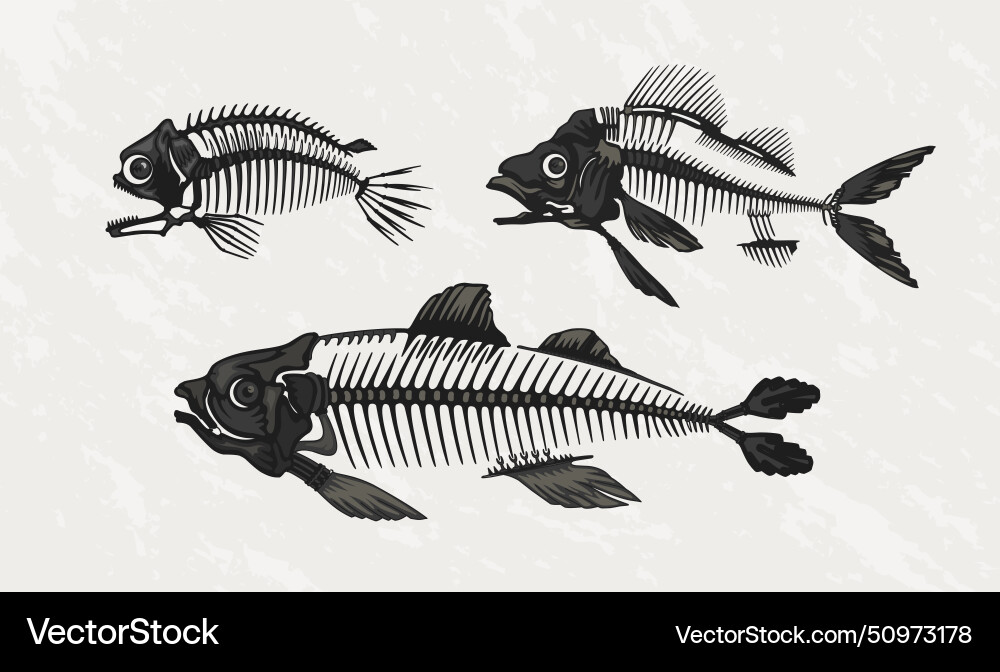 Fish skeleton bass bone skull logo with fin Vector Image