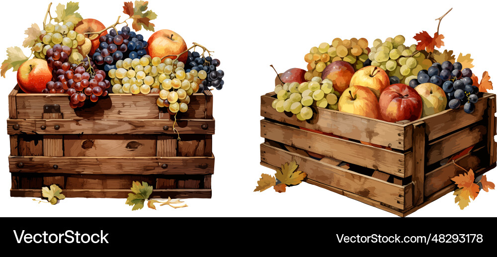 Fruit box clipart isolated Royalty Free Vector Image