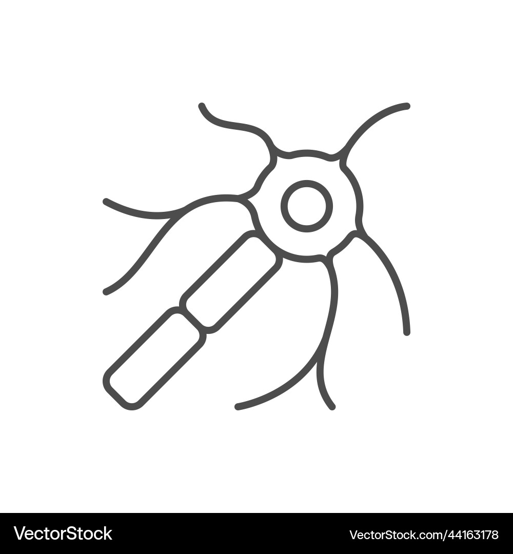 Nerve cell line outline icon Royalty Free Vector Image