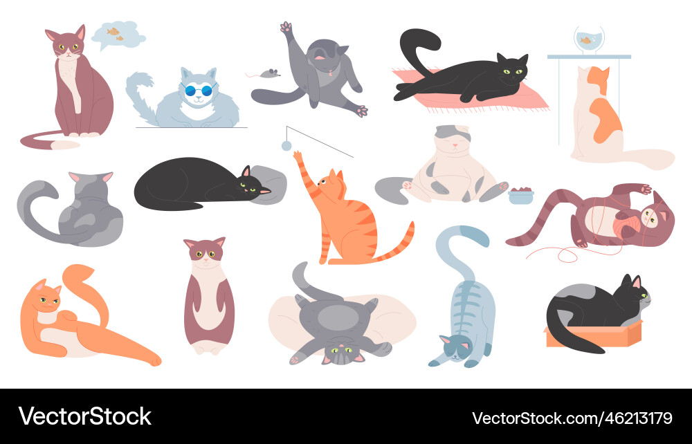 Cute cats set funny pet with different action Vector Image