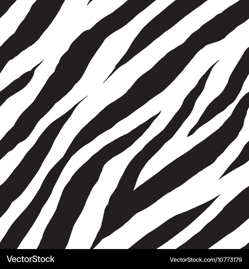 Zebra seamless pattern Royalty Free Vector Image