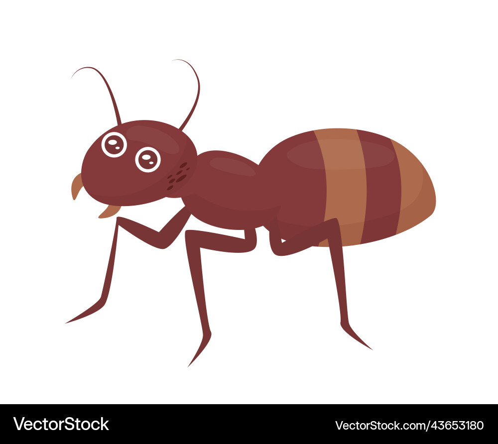 Cute wild ant insect Royalty Free Vector Image