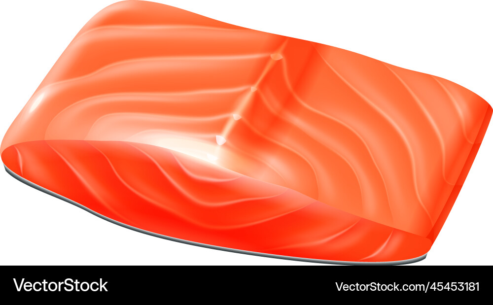 Realistic salmon fillet Royalty Free Vector Image