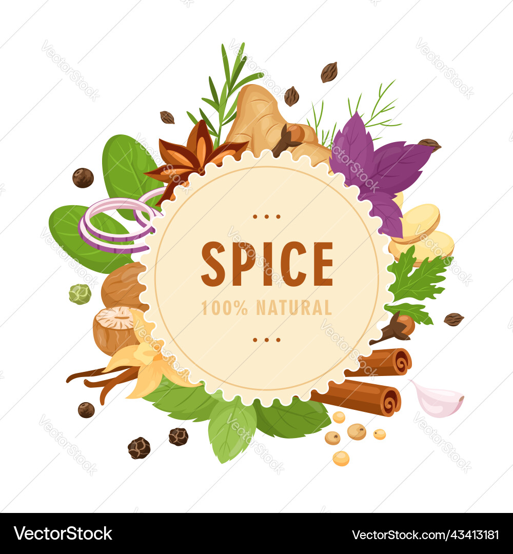 Spices and herbs Royalty Free Vector Image - VectorStock