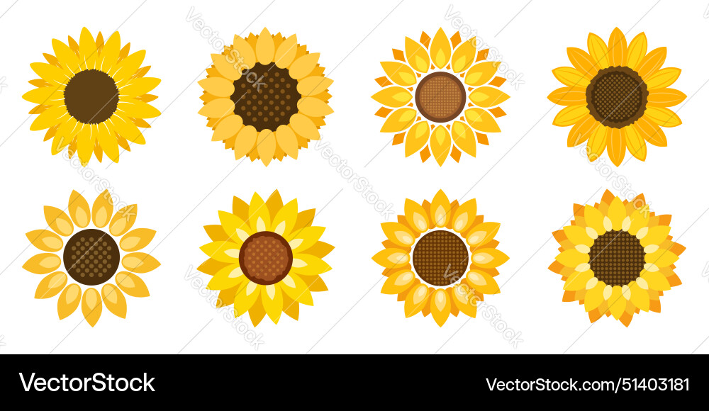 Sunflower icon in flat style flora on isolated Vector Image