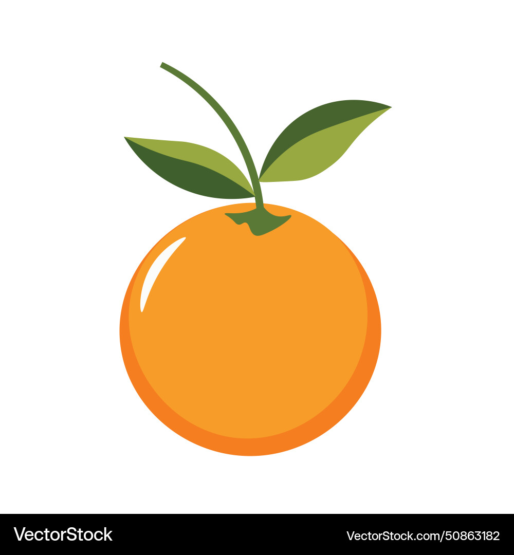Orange fruit clip art design Royalty Free Vector Image