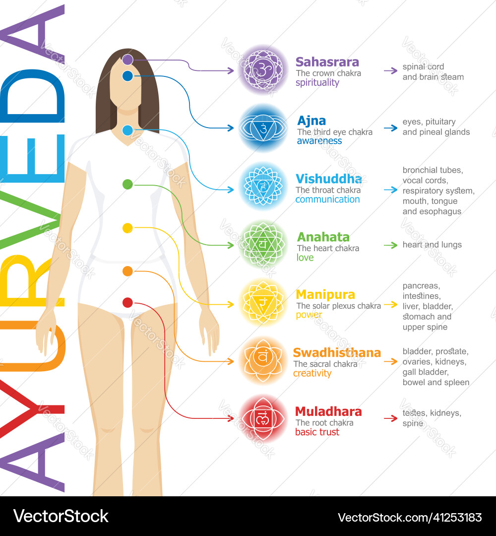 Chakras & Energy System Royalty Free Vector Image