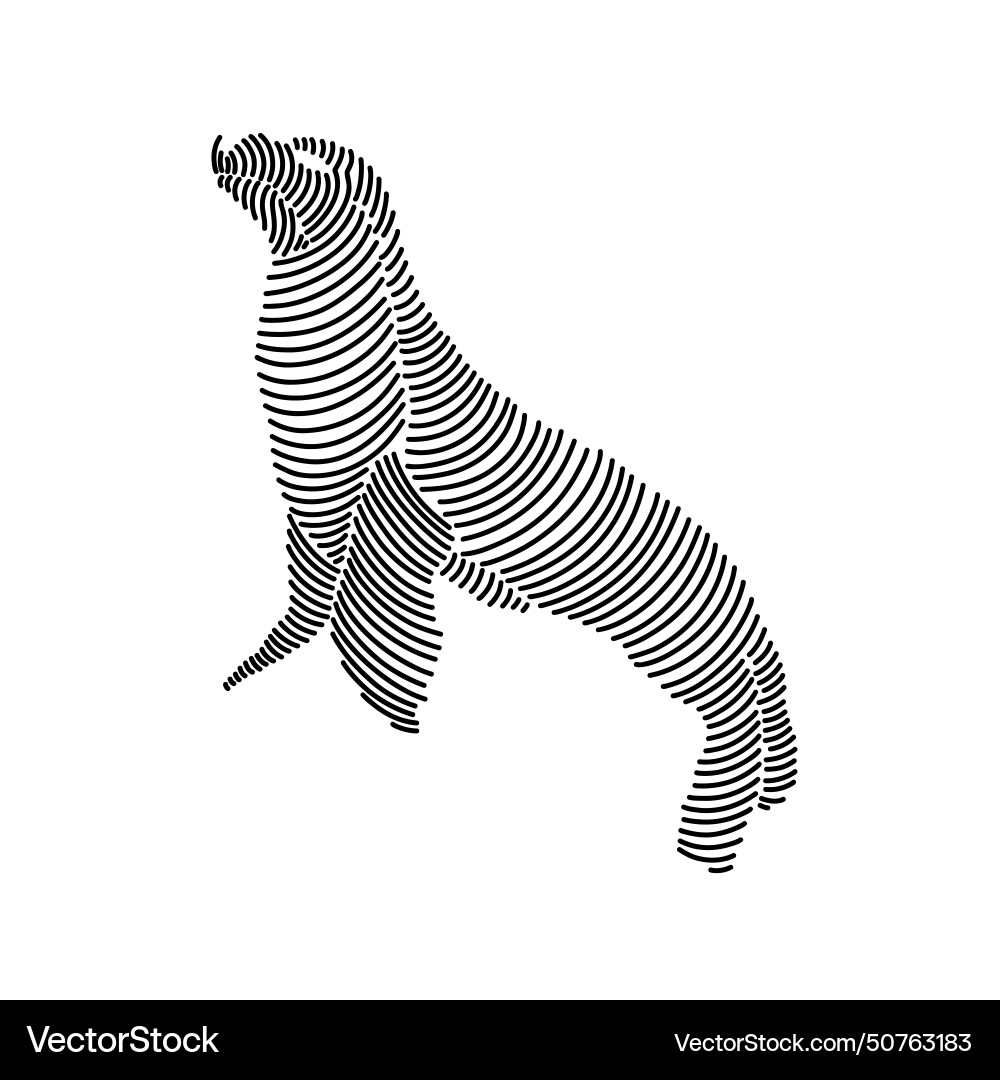 Simple line art of a seal 2 Royalty Free Vector Image