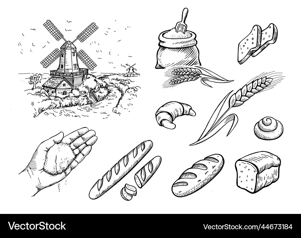 Hand drawn bakery collection Royalty Free Vector Image