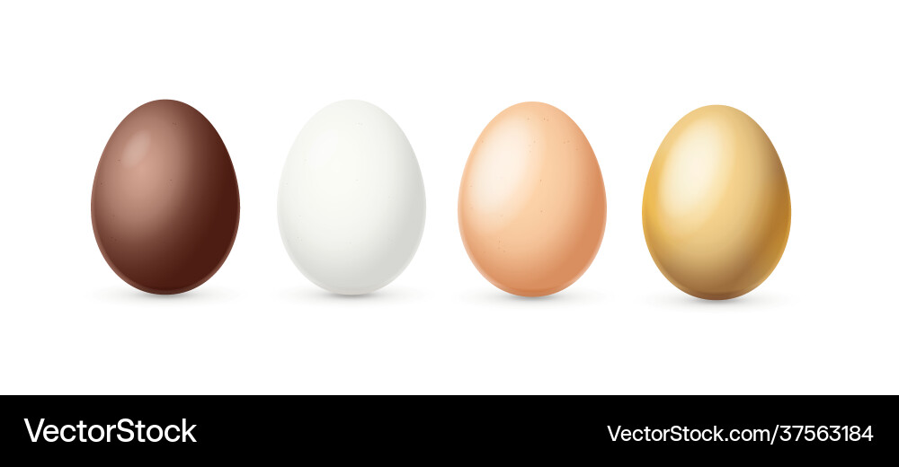 Realistic detailed 3d color eggs on a row Vector Image