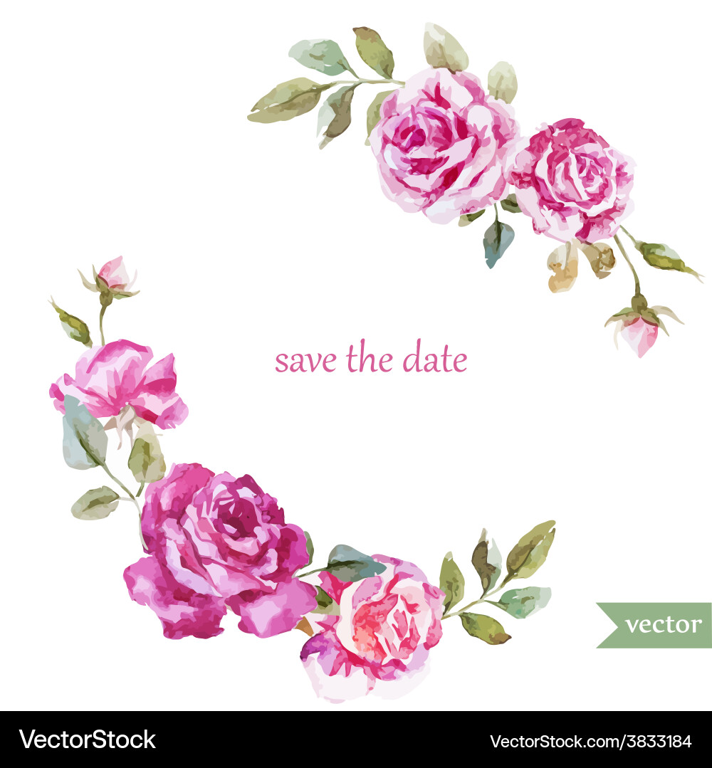 Roses frame Royalty Free Vector Image - VectorStock