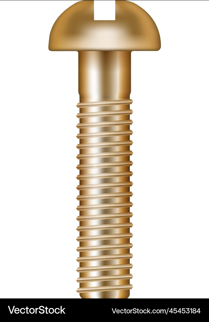 Screw realistic Royalty Free Vector Image - VectorStock