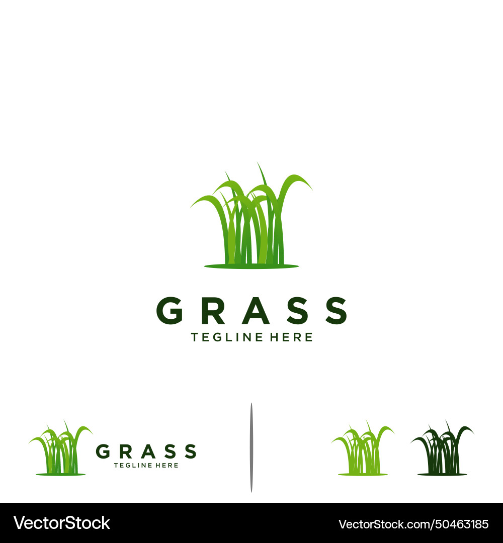 Grass logo lawn care design on isolated Royalty Free Vector