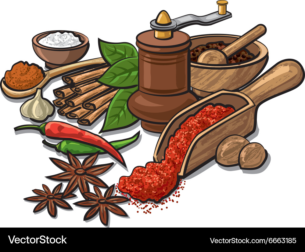 Spices and flavors Royalty Free Vector Image - VectorStock