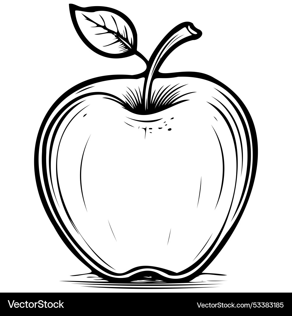 Splendor apple drawing outline cartoon fruit Vector Image