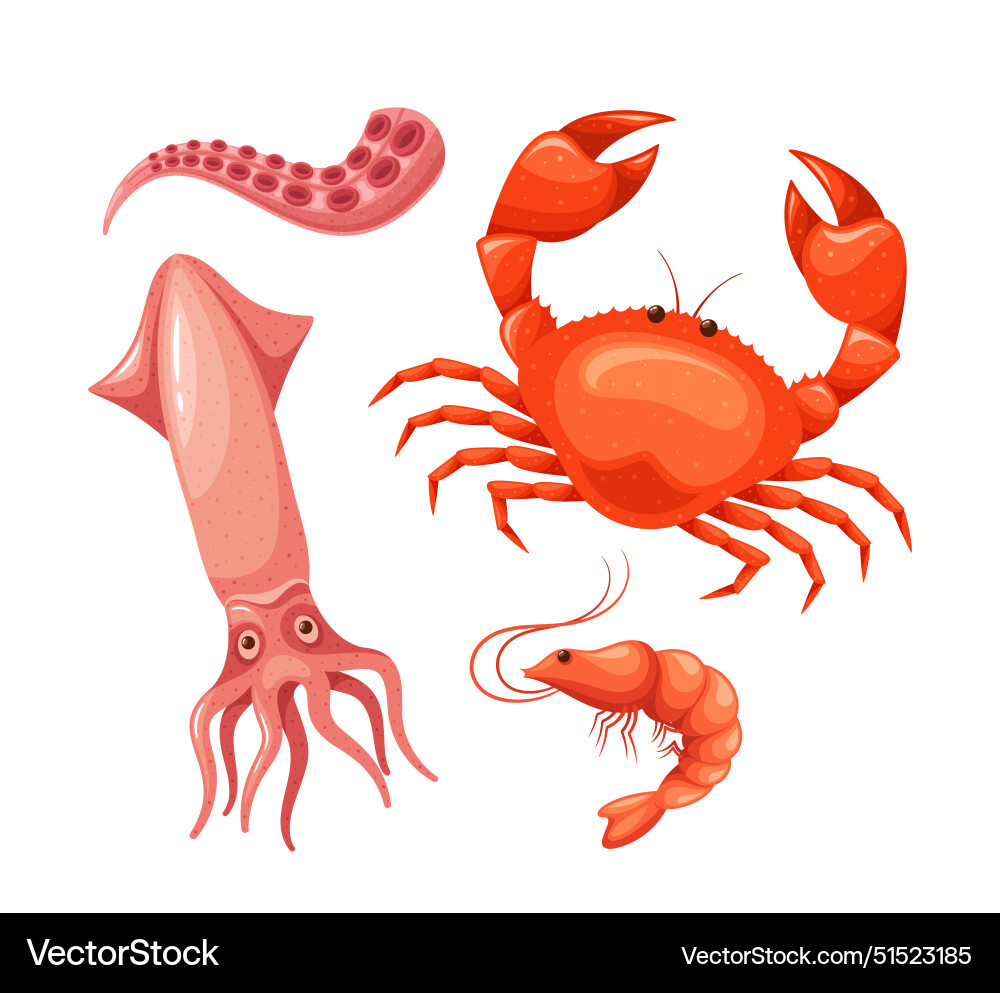 Vibrant various seafood creatures including Vector Image