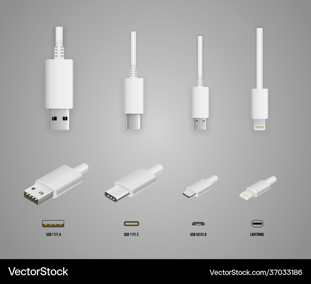 Usb all type Royalty Free Vector Image - VectorStock