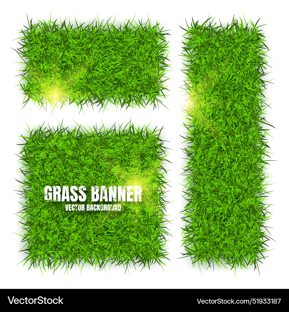 Green grass banners background field meadow Vector Image