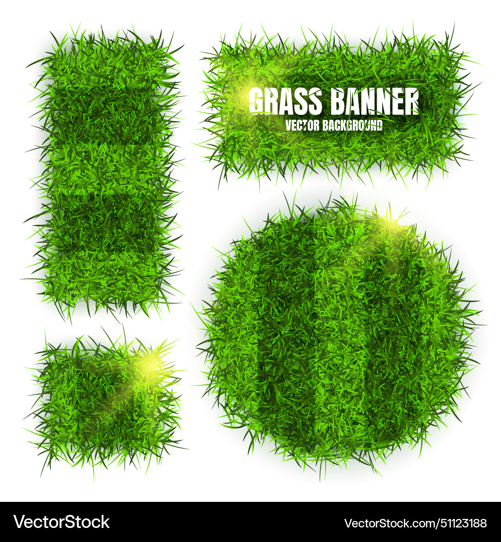 Green grass banners background field meadow Vector Image