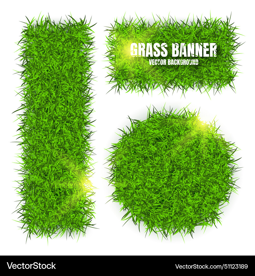 Green grass banners background field meadow Vector Image