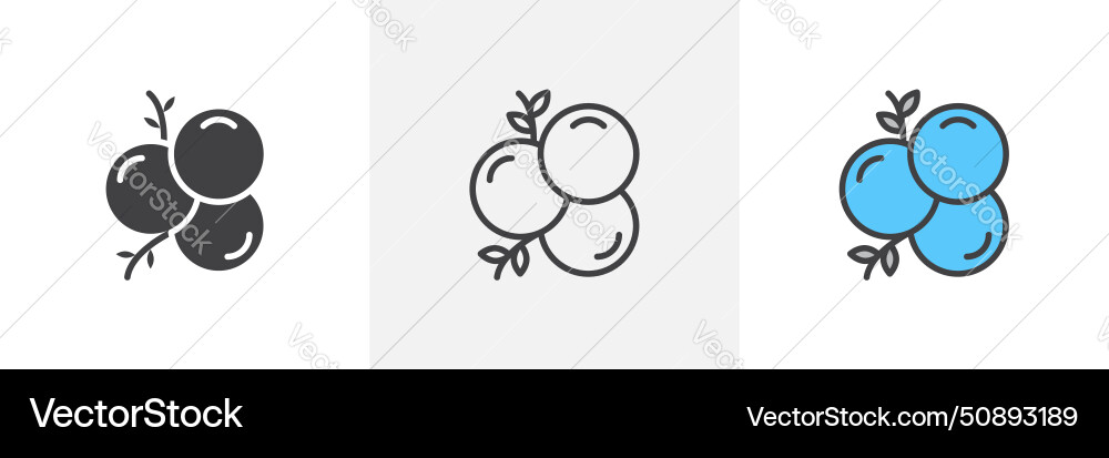 Juniper icon set berry gin blueberry symbol Vector Image