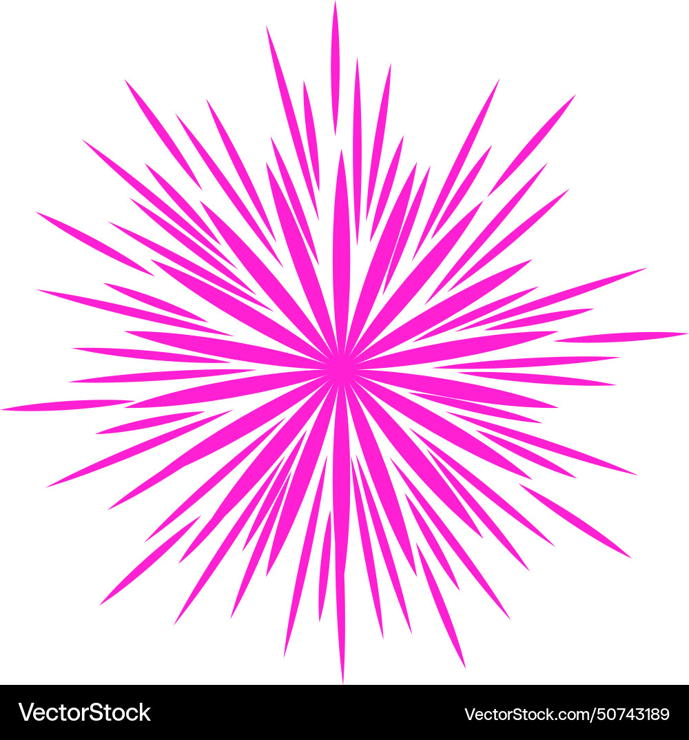 Light burst logo party firework color symbol Vector Image