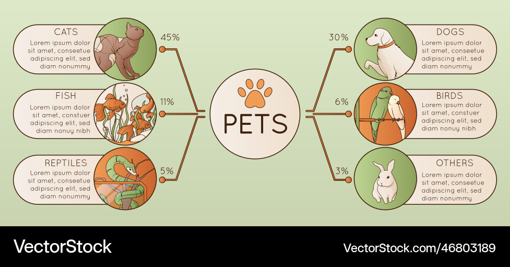 Pet Animal Infographic Royalty Free Vector Image