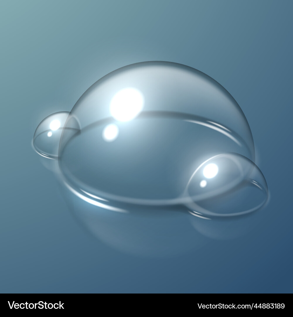 Realistic water bubble on smooth surface Vector Image