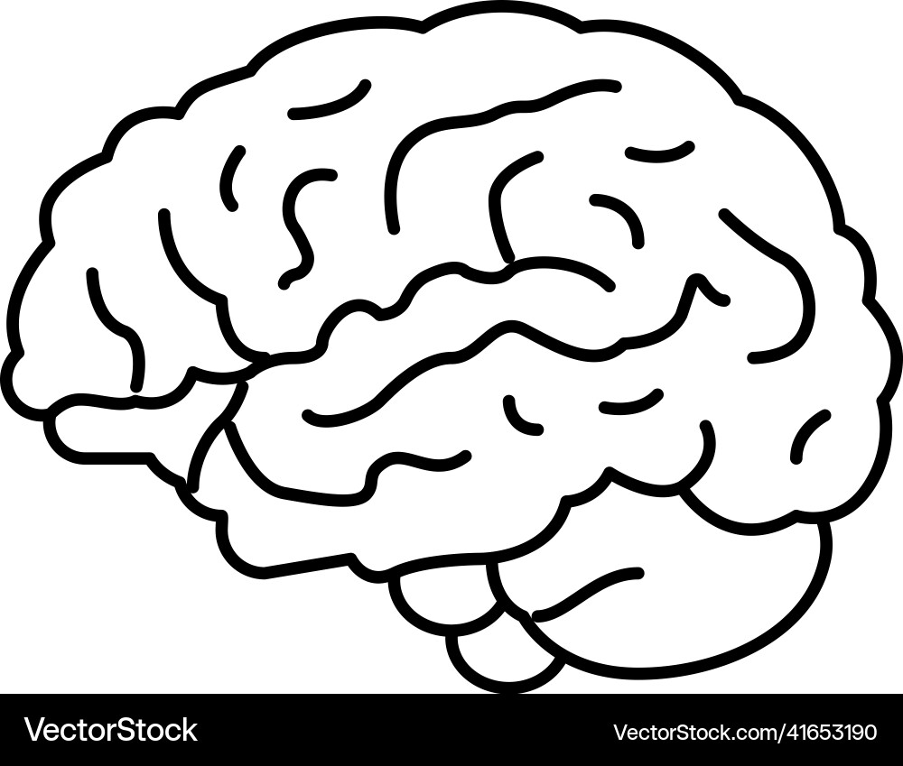 Brain Anatomy Icon Vector Images (over 21,000)