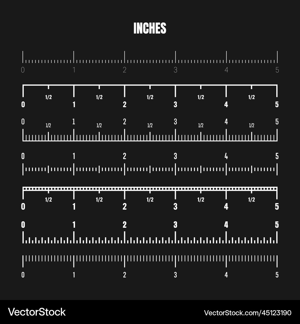 Realistic white inch scale for measuring length Vector Image