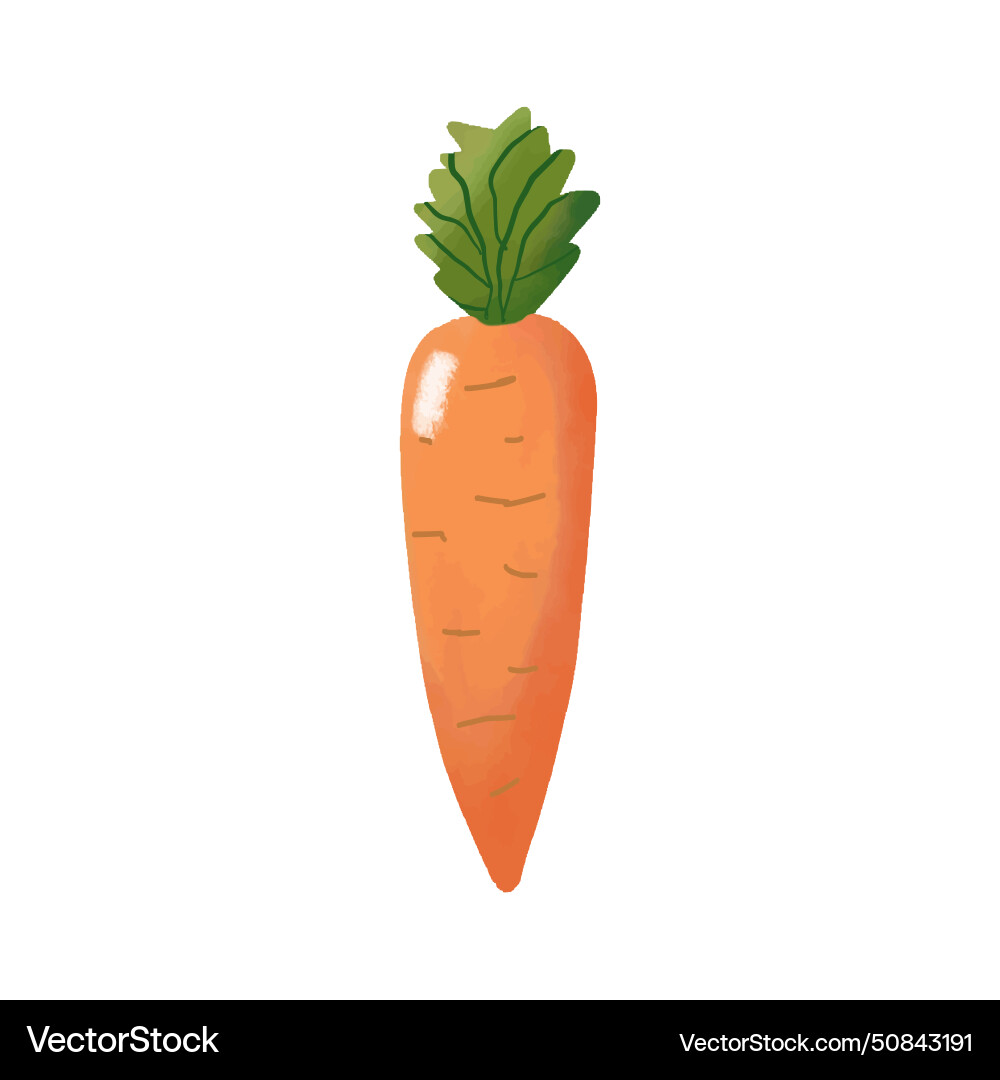 Carrot icon cartoon (50843191) – Free Vector | VectorStock