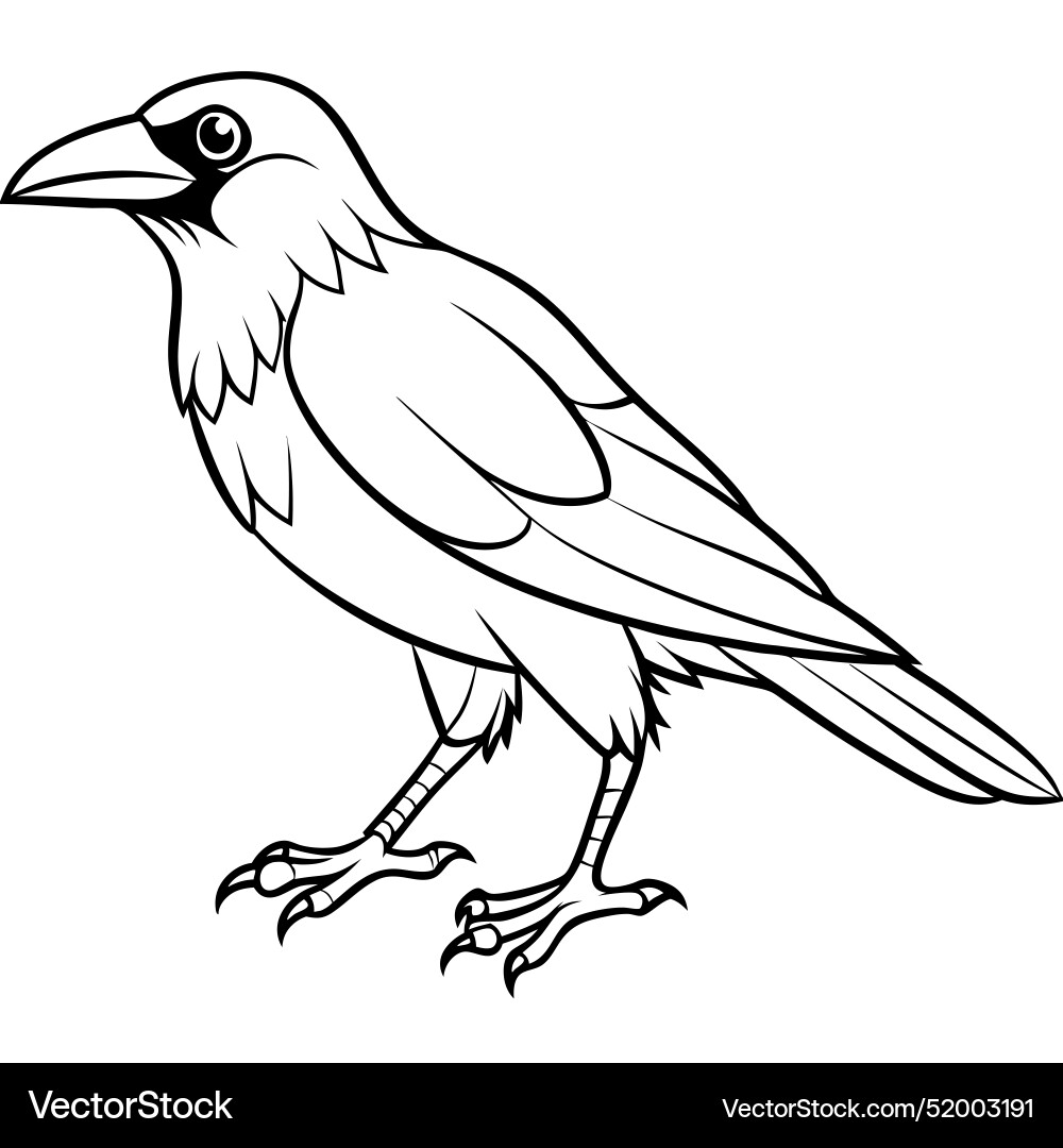 Common raven bird walks icon Royalty Free Vector Image