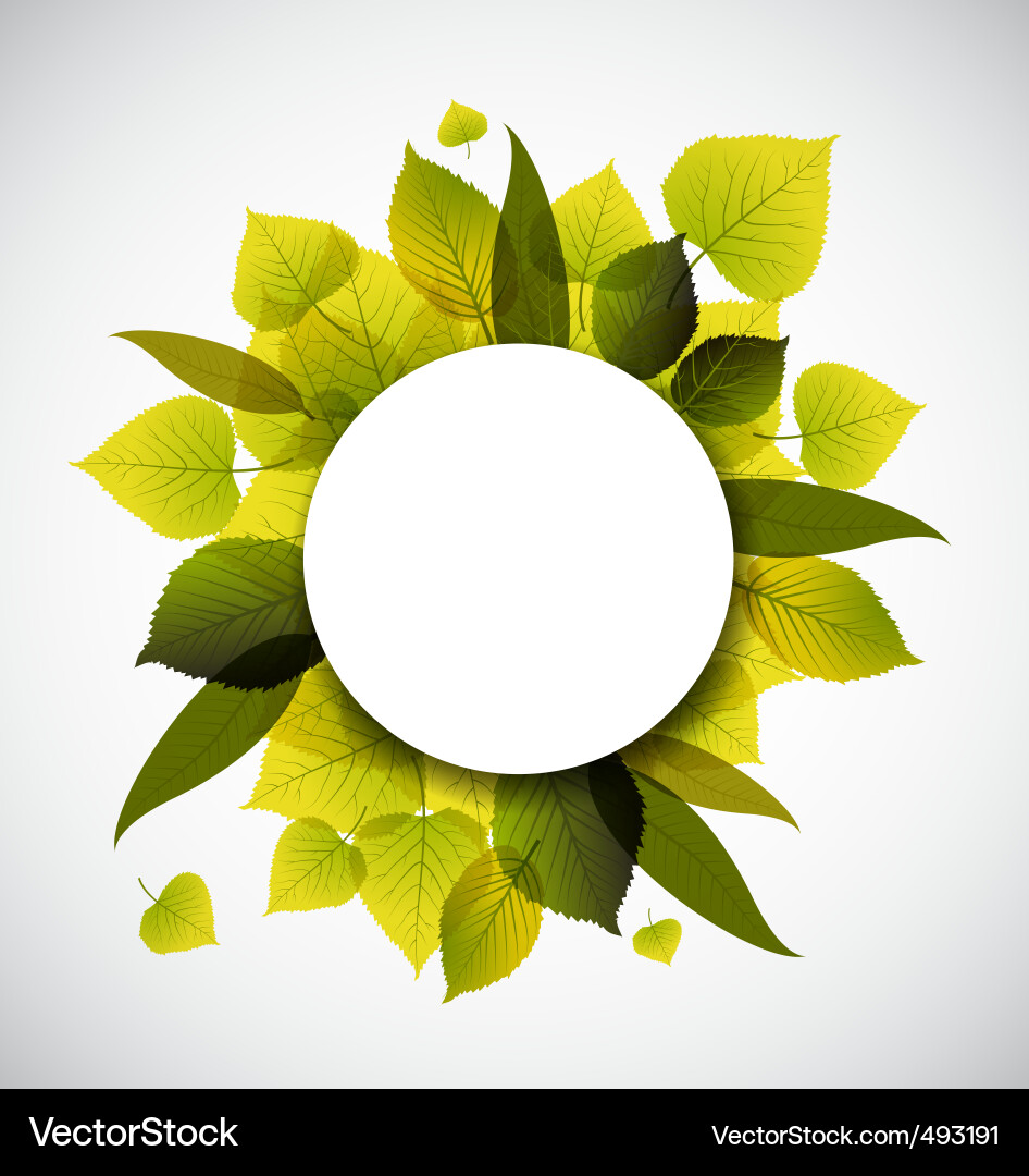 Green Leaf Abstract Background Royalty Free Vector Image