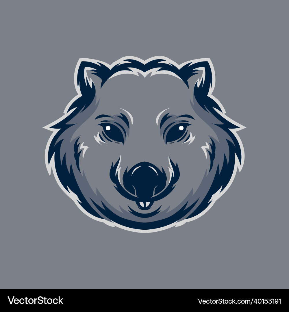Wombat head logo Royalty Free Vector Image - VectorStock