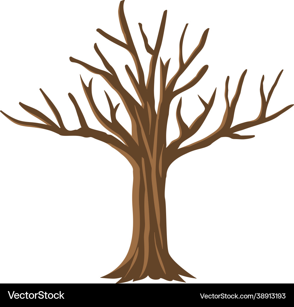 Withered Tree Png Single Old And Dead Tree Isolated On White