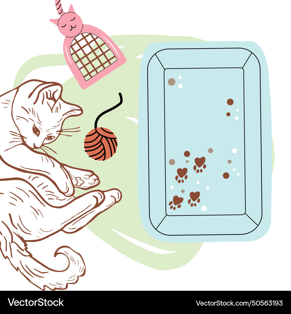 Frame or banner with cat and litter box for websit