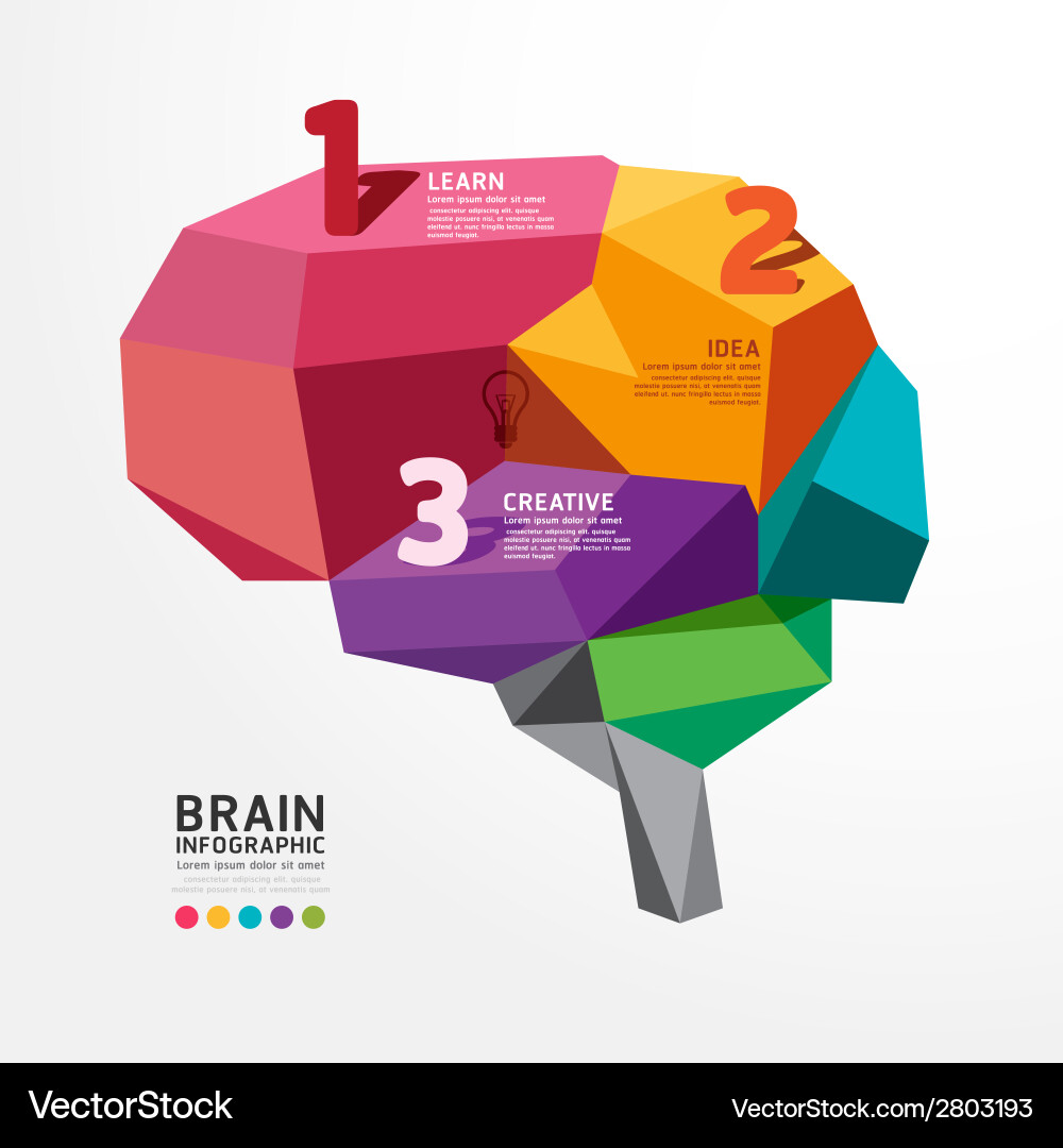 Infographic brain design conceptual Royalty Free Vector