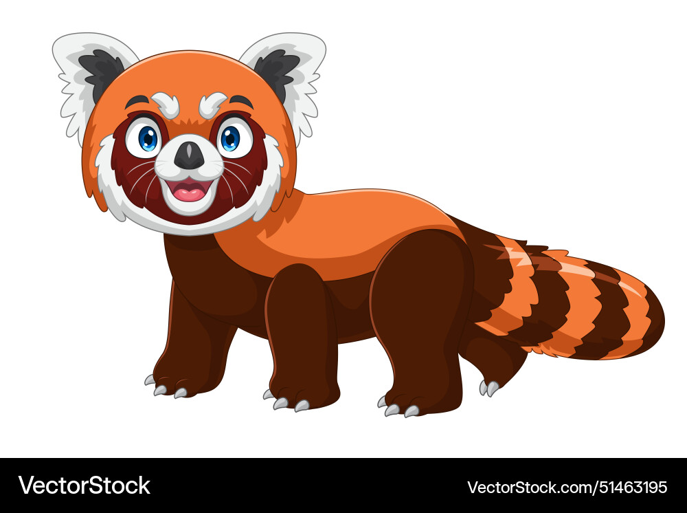 Cartoon smiling red panda on white background Vector Image
