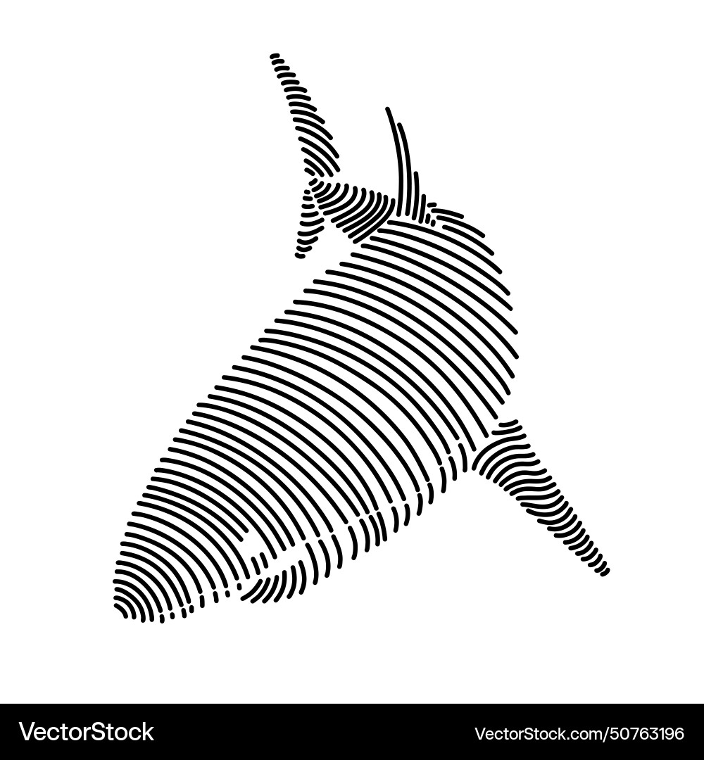 Simple line art of a shark 3 Royalty Free Vector Image
