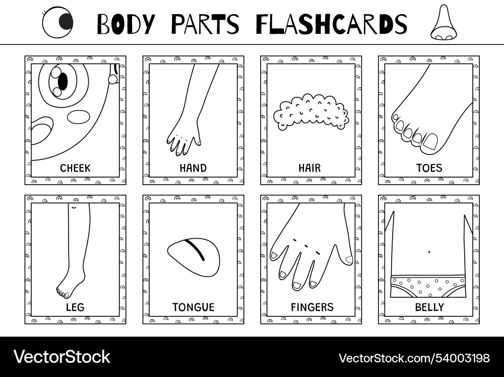 Body Parts Flashcards For Toddlers 26 Printable Body Parts Flashcards