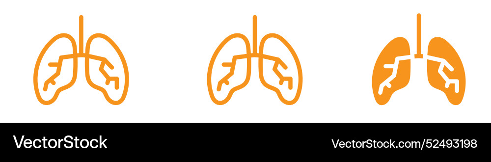 Respiratory human lungs icon for medical Vector Image