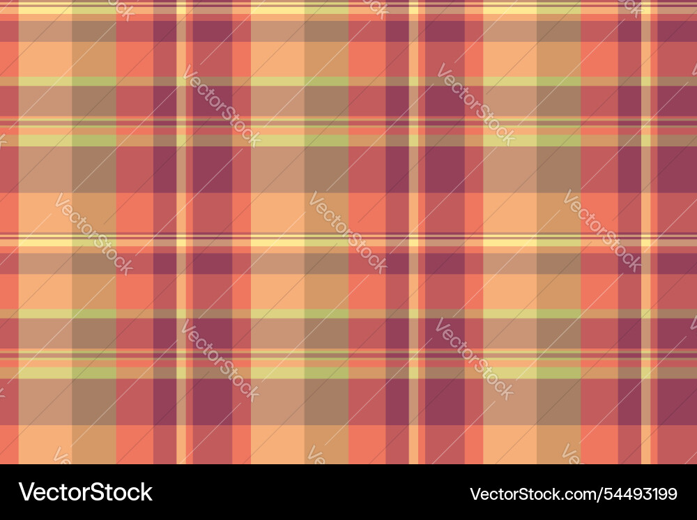 Close-up plaid seamless fabric naked background Vector Image