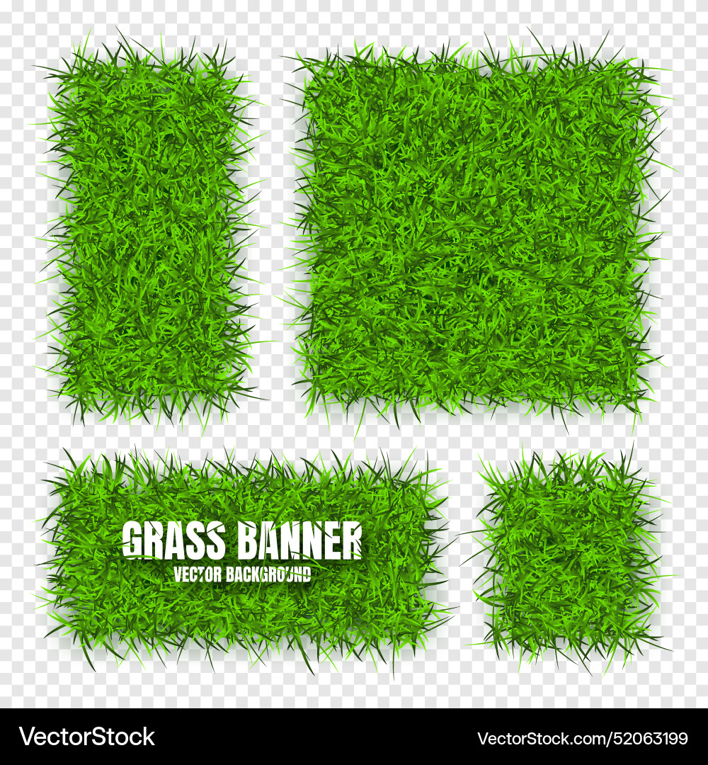 Green grass banners background field meadow Vector Image