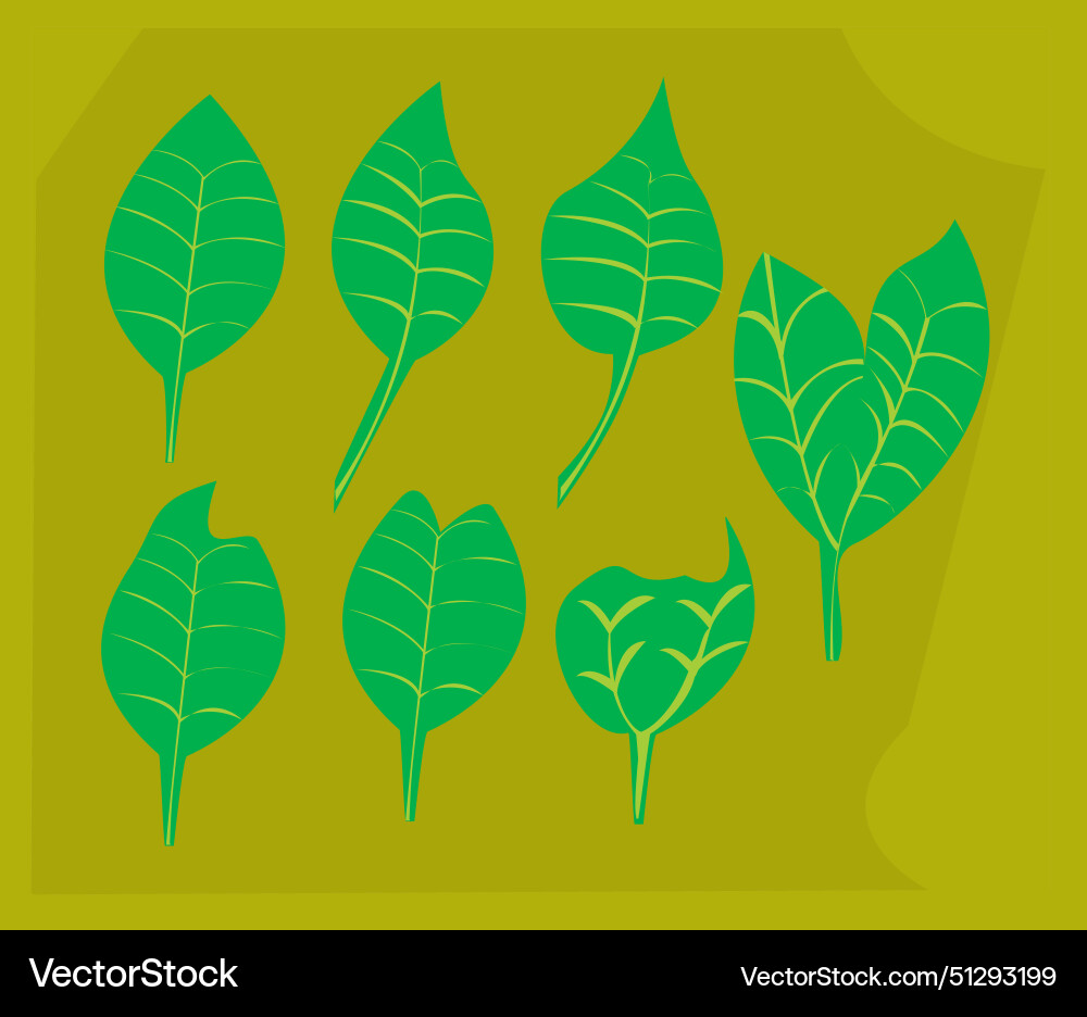 Leaf Royalty Free Vector Image - VectorStock