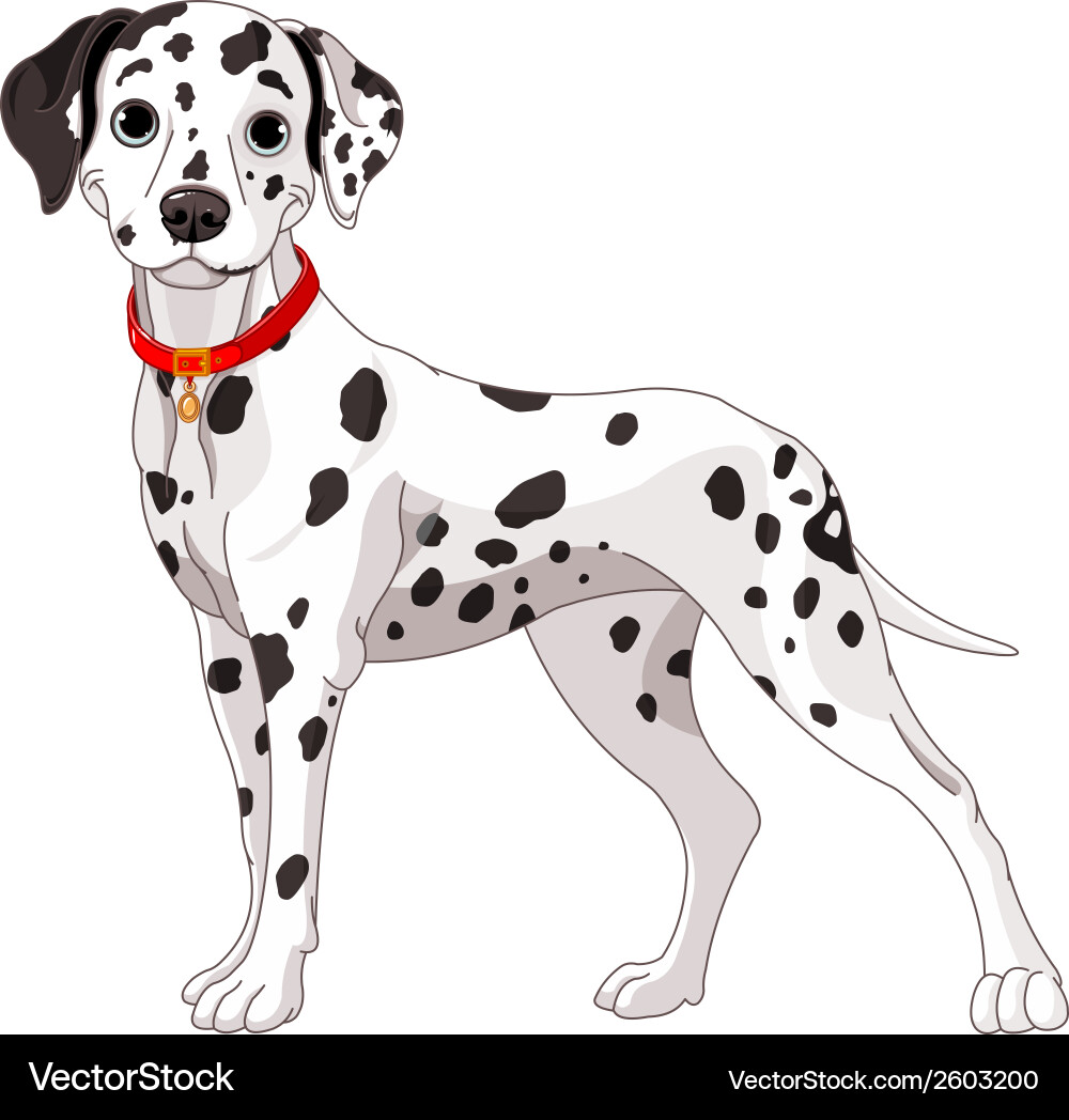 Cute dalmatian dog Royalty Free Vector Image - VectorStock